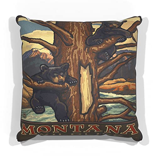 Montana Two Bear Cubs Canvas Throw Pillow for Couch or Sofa at Home & Office from Travel Artwork by Artist Paul A. Lanquist 18" x 18".