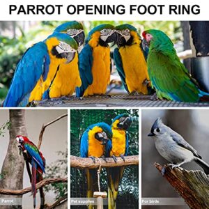 POPETPOP Bird Foot Rings Metal- Parrot Leg Bands Outdoor Fly Training Activity Opening Clip on Accessories for Small Medium Large Birds Training 10pcs