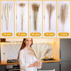 Natural Dried Pampas Grass Decor: 80 Pcs 17" Small Fluffy White Pampas Stems & Beige Reed Grass & Dry Wheat Bundle & Bunny Tail Grass Pampas Bouquet