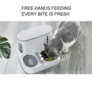 Automatic Cat Feeders,Detachable 2-in-1 Water and Food Bowl Set, Gravity Refill, Easily Clean, Self Feeding for Small Large Pets Puppy Kitten Rabbit Bunny