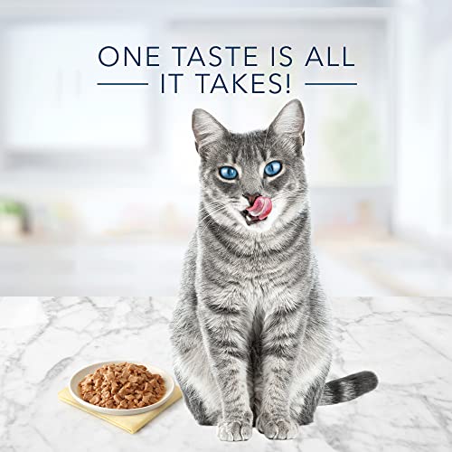 Blue Buffalo Tastefuls Natural Flaked Wet Cat Food Variety Pack, Tuna, Chicken and Fish & Shrimp Entrées in Gravy 5.5-oz Cans (24 Count - 8 of Each)