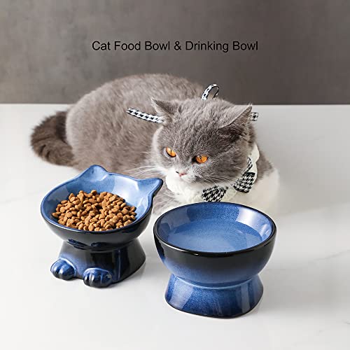 Nihow Slanted Elevated Cat Bowls: 5 Inch Ceramic Raised Cat Food Bowl for Protecting Pet's Spine - Microwave & Dishwasher Safe -Elegant Blue & Black (4.5 OZ /1 PC)