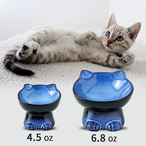 Nihow Slanted Elevated Cat Bowls: 5 Inch Ceramic Raised Cat Food Bowl for Protecting Pet's Spine - Microwave & Dishwasher Safe -Elegant Blue & Black (4.5 OZ /1 PC)