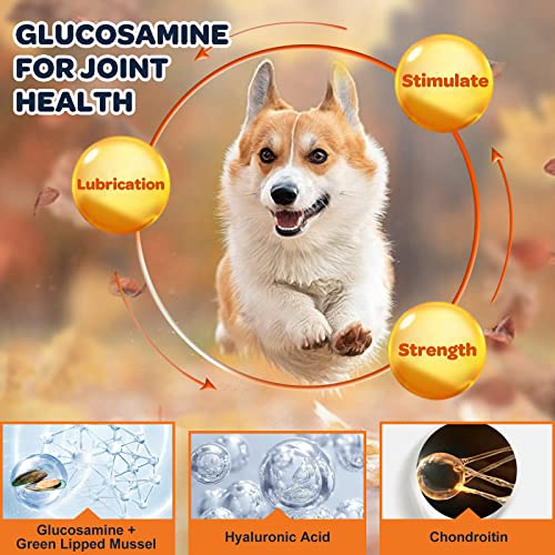 Glucosamine for Dogs, Hip and Joint Supplement For Dogs with Glucosamine Chondroitin MSM, Hyaluronic Acid, Turmeric Curcumin for Joint Pain Relief and Inflammation, Joint Health|180 Tablets