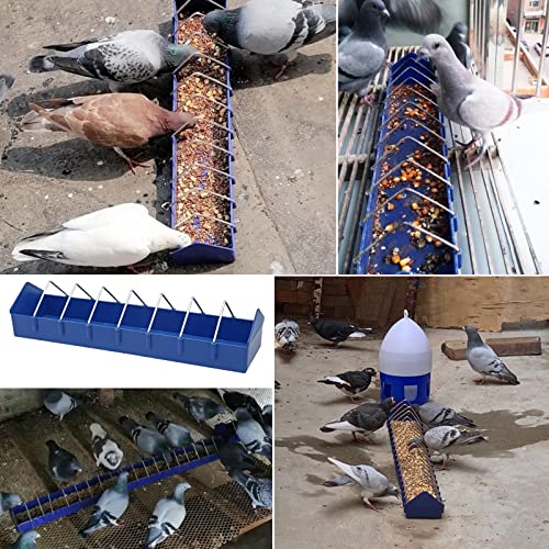 PAULOZYN Large Pigeon Feeder Rack 2PCS Food Dish Dispenser Tool Slot Container Thick for Poultry Chicken Duck Parrots Bird Supplies