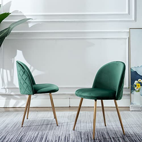 ZHENGHAO Modern Velvet Dining Chairs Set of 8, Tufted Accent Upholstered Chairs Wingback Armless Side Chair with Gold Legs for Living Room Bedroom Kitchen Vanity (Emerald Green)