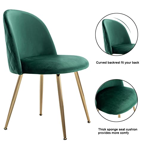 ZHENGHAO Modern Velvet Dining Chairs Set of 8, Tufted Accent Upholstered Chairs Wingback Armless Side Chair with Gold Legs for Living Room Bedroom Kitchen Vanity (Emerald Green)