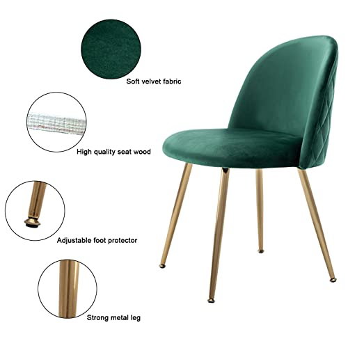 ZHENGHAO Modern Velvet Dining Chairs Set of 8, Tufted Accent Upholstered Chairs Wingback Armless Side Chair with Gold Legs for Living Room Bedroom Kitchen Vanity (Emerald Green)