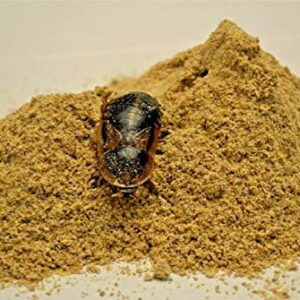 Premium Roach/Cricket Chow and Water Crystal Combos by Five-Star Feeders (1/2 lb. Roach Chow and 1 oz. Water Crystals)