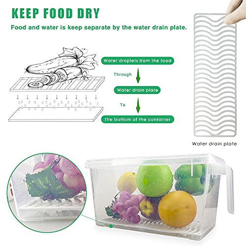 SILIVO 6 Pack Produce Saver Refrigerator Organizer Bins for Fruits and Vegetables- 3 Pack 1.5L + 3 Pack 4.5L