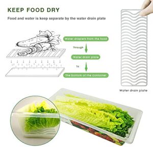 SILIVO 6 Pack Produce Saver Refrigerator Organizer Bins for Fruits and Vegetables- 3 Pack 1.5L + 3 Pack 4.5L