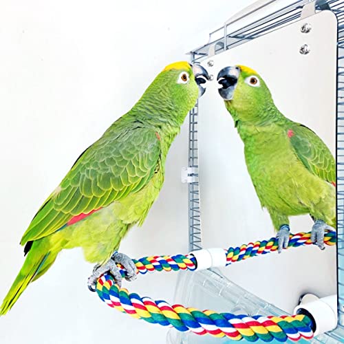 YITAQI Conure Cockatiel Cage Accessories with Rope Acrylic Brid Mirror Perch Stand Swing Parrot Toys(L)