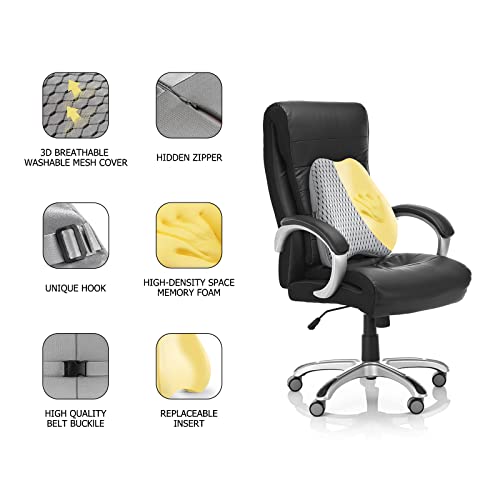 Bipintip Lumbar Support Office Chair with Adjustable Strap and Washable Cover - Back Cushion for Couch,Recliner,Car,Desk Chair - Lumbar Pillow Back Pain Relief,Improve Posture(Gray)