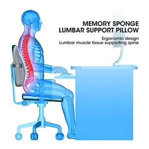 Bipintip Lumbar Support Office Chair with Adjustable Strap and Washable Cover - Back Cushion for Couch,Recliner,Car,Desk Chair - Lumbar Pillow Back Pain Relief,Improve Posture(Gray)