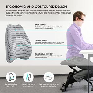 Bipintip Lumbar Support Office Chair with Adjustable Strap and Washable Cover - Back Cushion for Couch,Recliner,Car,Desk Chair - Lumbar Pillow Back Pain Relief,Improve Posture(Gray)