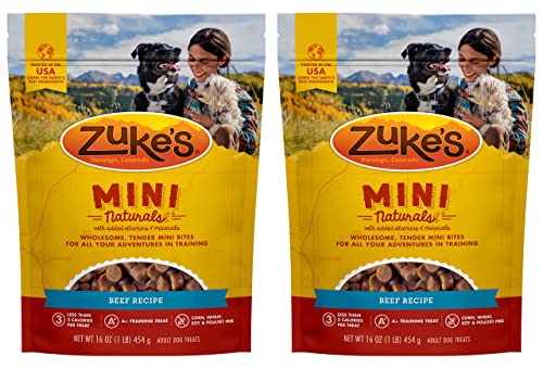 Zuke's Mini Naturals Dog Training Treats, Salmon Recipe, Soft Mini Dog Treats with Vitamins & Minerals, Made for All Breed (16 Ounce (Pack of 2))