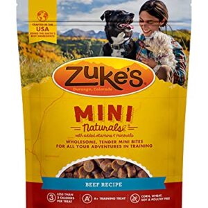 Zuke's Mini Naturals Dog Training Treats, Salmon Recipe, Soft Mini Dog Treats with Vitamins & Minerals, Made for All Breed (16 Ounce (Pack of 2))