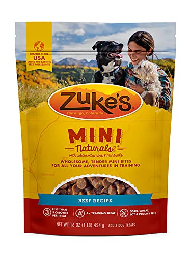 Zuke's Mini Naturals Dog Training Treats, Salmon Recipe, Soft Mini Dog Treats with Vitamins & Minerals, Made for All Breed (16 Ounce (Pack of 2))