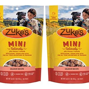 Zuke's Mini Naturals Dog Training Treats, Salmon Recipe, Soft Mini Dog Treats with Vitamins & Minerals, Made for All Breed Sizes (Salmon, 16 Ounce (Pack of 2))