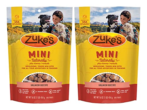 Zuke's Mini Naturals Dog Training Treats, Salmon Recipe, Soft Mini Dog Treats with Vitamins & Minerals, Made for All Breed Sizes (Salmon, 16 Ounce (Pack of 2))