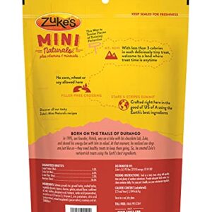 Zuke's Mini Naturals Dog Training Treats, Salmon Recipe, Soft Mini Dog Treats with Vitamins & Minerals, Made for All Breed Sizes (Salmon, 16 Ounce (Pack of 2))