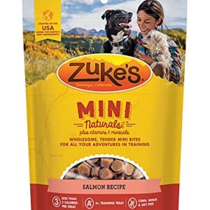 Zuke's Mini Naturals Dog Training Treats, Salmon Recipe, Soft Mini Dog Treats with Vitamins & Minerals, Made for All Breed Sizes (Salmon, 16 Ounce (Pack of 2))