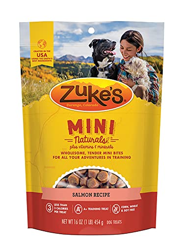 Zuke's Mini Naturals Dog Training Treats, Salmon Recipe, Soft Mini Dog Treats with Vitamins & Minerals, Made for All Breed Sizes (Salmon, 16 Ounce (Pack of 2))