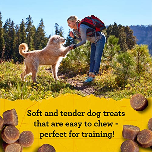 Zuke's Mini Naturals Dog Training Treats, Salmon Recipe, Soft Mini Dog Treats with Vitamins & Minerals, Made for All Breed Sizes (Chicken, 16 Ounce (Pack of 2))