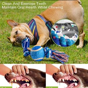 Heibizi Dog Toys for Large Dogs Aggressive Chewers, Valued Durable Dog Rope Toys Pack for Medium Large Breed, Interactive Tug of War Toys for Dogs, Dog Gifts