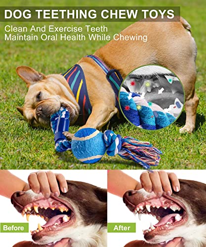 Heibizi Dog Toys for Large Dogs Aggressive Chewers, Valued Durable Dog Rope Toys Pack for Medium Large Breed, Interactive Tug of War Toys for Dogs, Dog Gifts