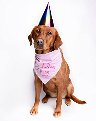 Dog Birthday Bandana for Large Dog – 23 x 23 in, Large, Embroidered Birthday Girl Dog Bandana for Dogs with Stitched Edges & Cotton Drawstring Bag – Dog Birthday Gifts & Dog Clothes by Kendall Wags