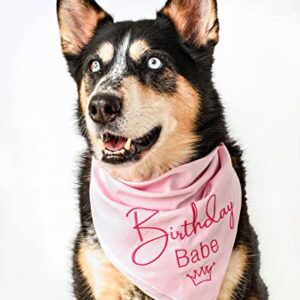 Dog Birthday Bandana for Large Dog – 23 x 23 in, Large, Embroidered Birthday Girl Dog Bandana for Dogs with Stitched Edges & Cotton Drawstring Bag – Dog Birthday Gifts & Dog Clothes by Kendall Wags