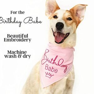 Dog Birthday Bandana for Large Dog – 23 x 23 in, Large, Embroidered Birthday Girl Dog Bandana for Dogs with Stitched Edges & Cotton Drawstring Bag – Dog Birthday Gifts & Dog Clothes by Kendall Wags