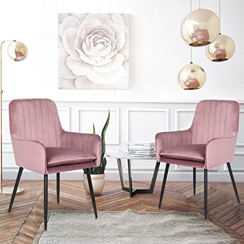 Decent Home Velvet Dining Chair Set of 2 Mid-Back Accent Arm Chairs with Black Metal Legs Modern Leisure Upholstered Seat Living Room Chair Home Desk Chair (Pink-2PCS)