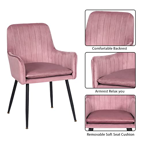 Decent Home Velvet Dining Chair Set of 2 Mid-Back Accent Arm Chairs with Black Metal Legs Modern Leisure Upholstered Seat Living Room Chair Home Desk Chair (Pink-2PCS)