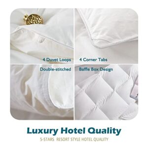 Feather Down Comforter Queen Size, All Seasons Duvet Insert, 100% Egyptian Cotton Fabric, Ultra-Soft Premium 750 Fill Power Feathers/Down Blend Full/Queen Bed Comforter, Ivory White, 90x90