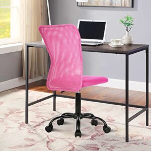 Ergonomic Chairs, Cute Adjustable Armless Office Desk Chair w/Mesh Back & Soft Thick Seat, Comfy Swivel Rolling Cheap Executive Small Computer Task Chair Sillas para Escritorio for Adult Women