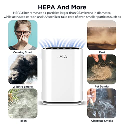 Large Room True HEPA+ Air Purifier 1,750 Sq Ft, Auto Mode, Air Quality Sensor, 6-Point Purification, for Allergies and Pets, Rid of Dander, Dust, Smoke, Odor, 2022 Upgrade Model