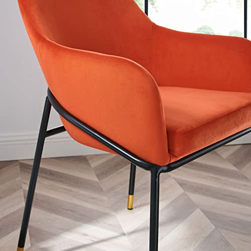 Modway Jovi Performance Velvet Dining Armchair in Black Orange