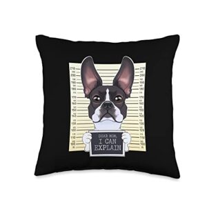 boston terrier gifts for women & mothers day gifts dear can explain mom i boston terrier throw pillow, 16x16, multicolor