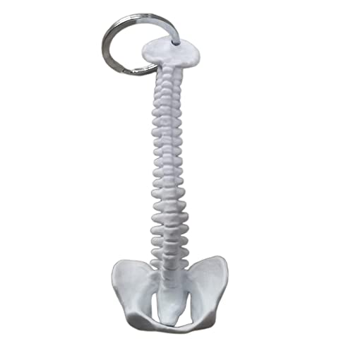 Milageto Human Spine Keychain, 4D Skeleton Model Key, School