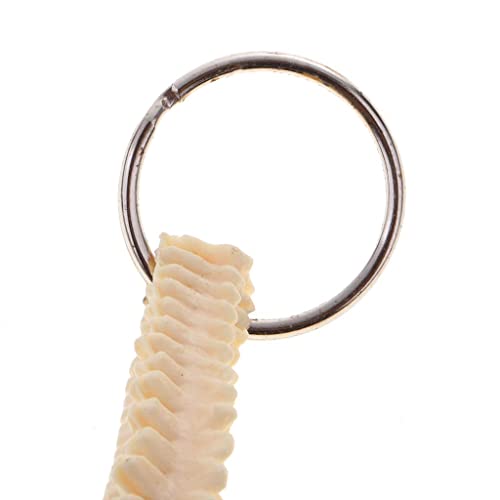 Milageto Human Spine Keychain, 4D Skeleton Model Key, School