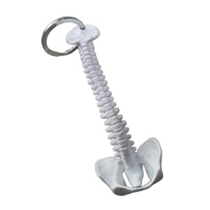 Milageto Human Spine Keychain, 4D Skeleton Model Key, School