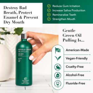 Terra & Co. Gentle Ayurveda Oil Pulling for Teeth and Gums - Vegan Natural Mouthwash No Alcohol or Fluoride to Improve Oral Health - Made with Cold Pressed Plant Oils and Nano Hydroxyapatite - 200ml