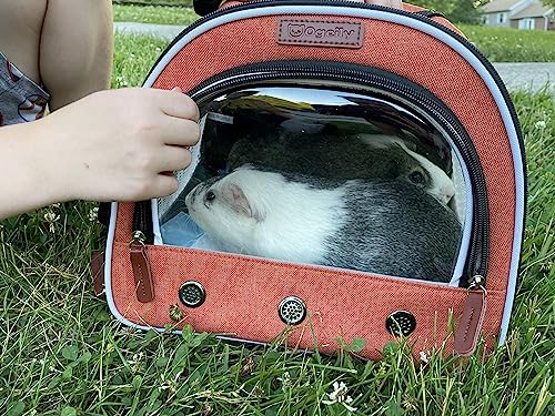 Small Bird Carrier Cage, Bunny Carrier, Pet Carrier for Small Animals Guinea Pig Hamster Rat Travel Carrier Cage