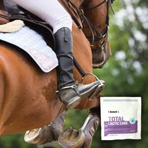 Ramard Total Lactic Care for Aging Horses, Supports Joint Function, Energy & Stamina Horse Supplies, Vitamin & Supplements w/ Branch Chain Amino Acids, 25g Pouch, 5-Pack