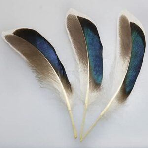 LUORNG 150PCS Duck Feathers, Natural Feathers for DIY Craft Art, Decor Feathers for Carnival Halloween Handwork Clothing Costumes Hair Hats Crafts Home Wedding Party Decoration