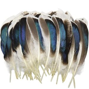 luorng 150pcs duck feathers, natural feathers for diy craft art, decor feathers for carnival halloween handwork clothing costumes hair hats crafts home wedding party decoration