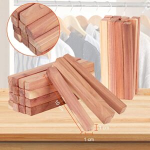 GOLDORCLE 40Pcs Cedar Blocks for Clothes Storage, 100% Natural Aromatic Red Cedar Blocks for Wardrobe, Cedar Planks for Closets Drawers