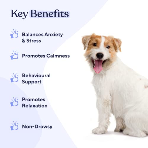 Pawfy dogs Calming Soft Chews | Anxiety | Separation | Stress Relief | Travel | Behavioral Training | Fireworks & Other Stressful Events | with L-Tryptophan & Chamomile